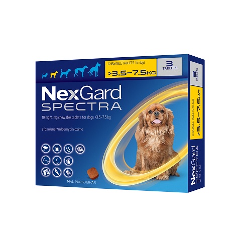 NexGard SPECTRA® | Complete Parasitic Protection Solution for Dogs